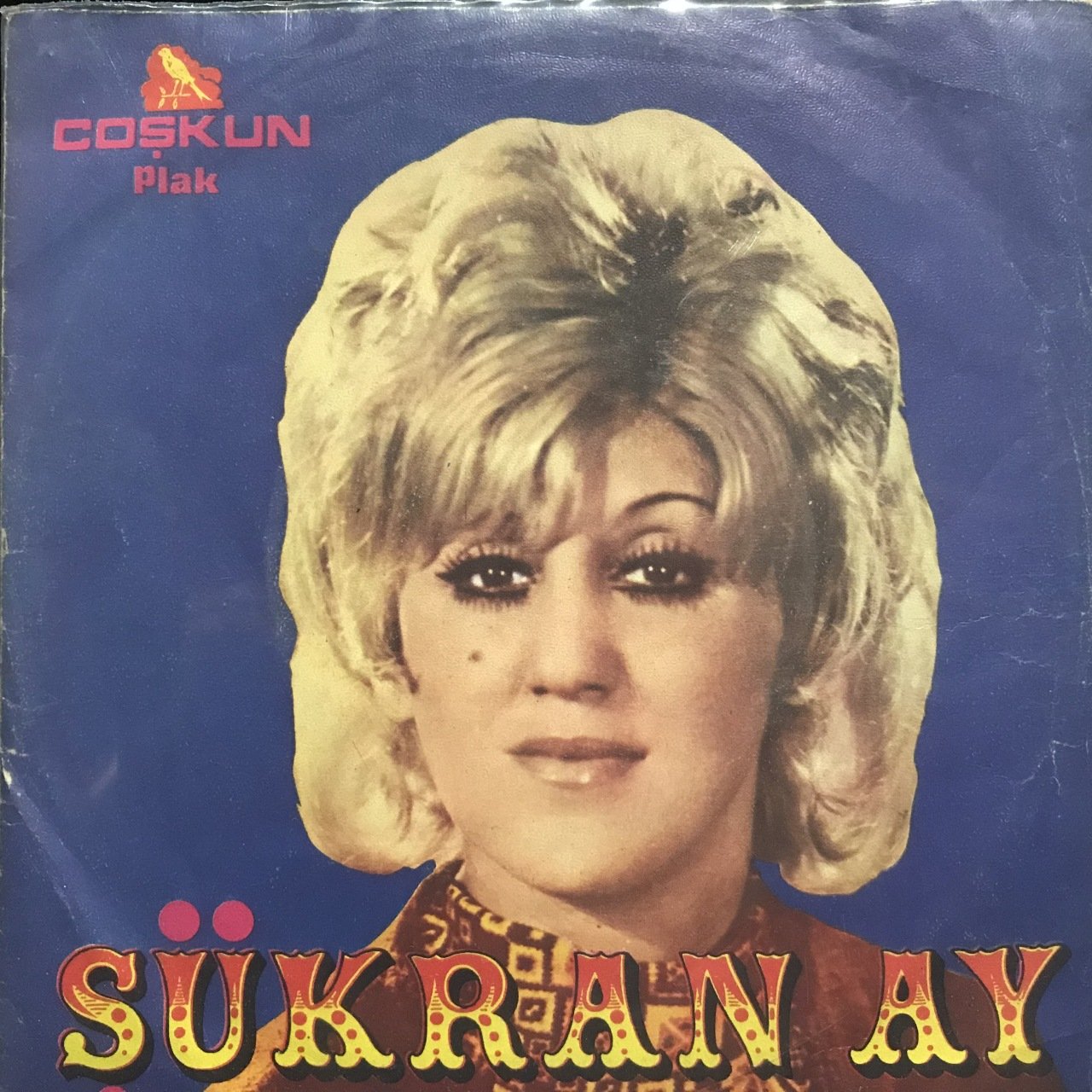Şükran Ay Seviyorum Deli Gibi 45lik Plak Şükran Ay Seviyorum Deli Gibi 45lik Plak