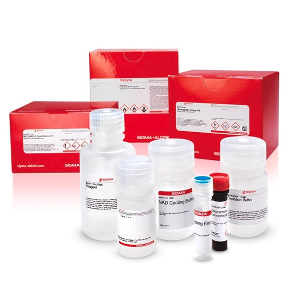 Sigma-Aldrich MAK447 Alkaline Phosphatase Assay Kit Sigma-Aldrich MAK447 Alkaline Phosphatase Assay Kit